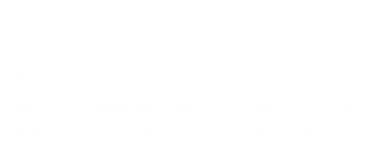 FACIS (Fraud Abuse Control Information System) | Verisys